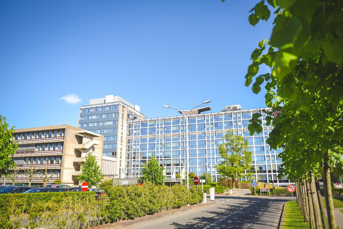 Raadpleging | Orthoclinic Brugge