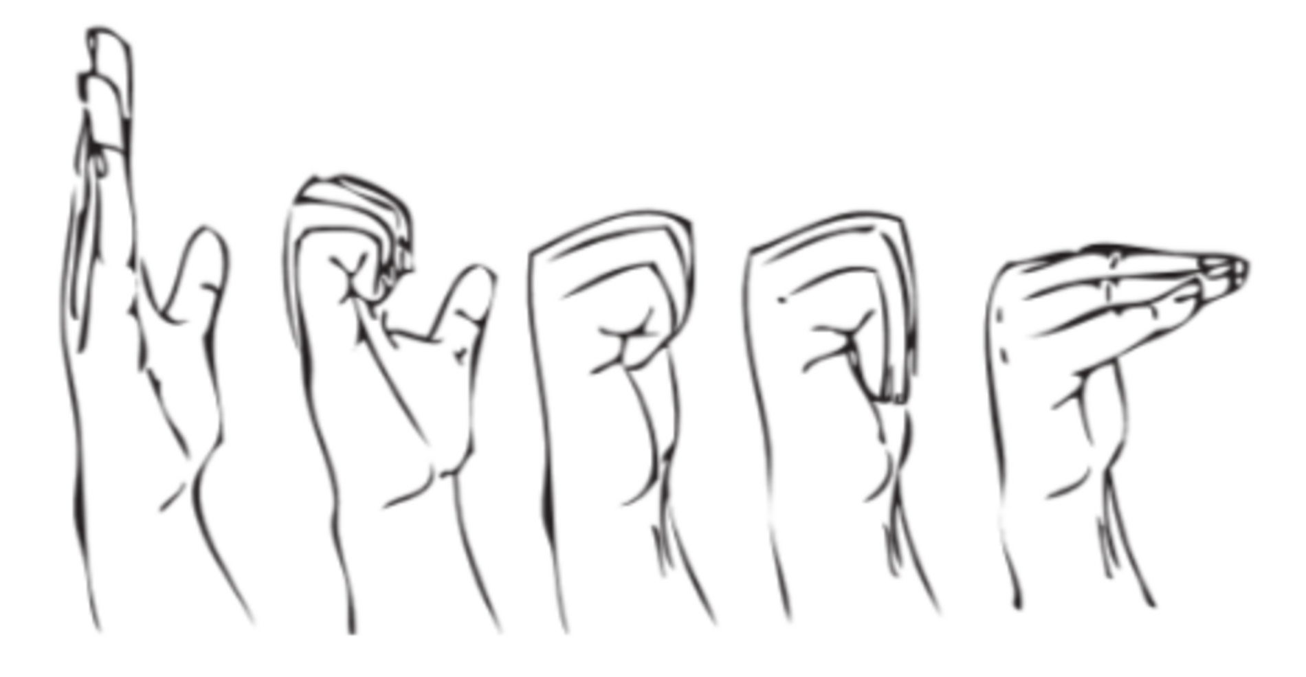 Springvinger | Orthoclinic Brugge